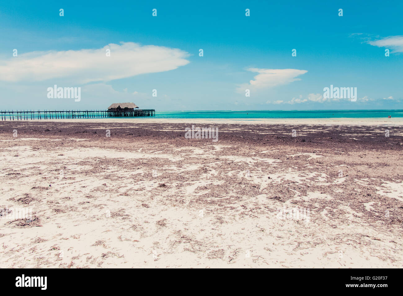 Dry beach in Zanzibar Stock Photo - Alamy