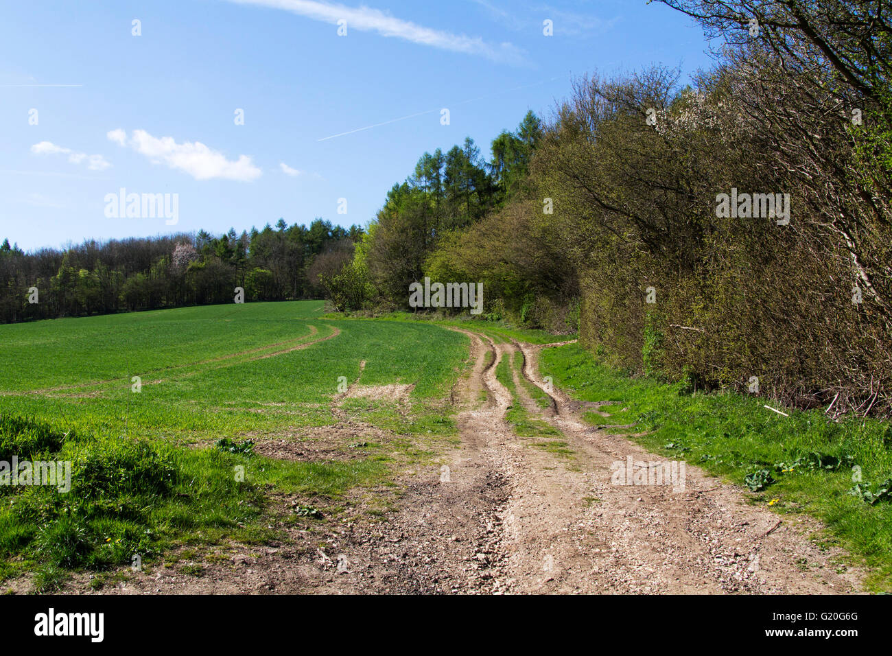 View along a county path in the Chilterns, England Stock Photo - Alamy