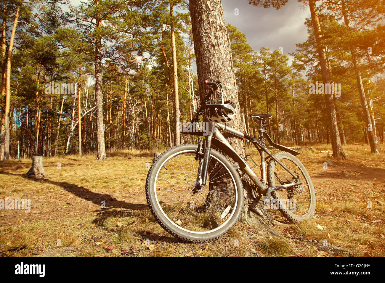 mountain bike in the nature Stock Photo - Alamy