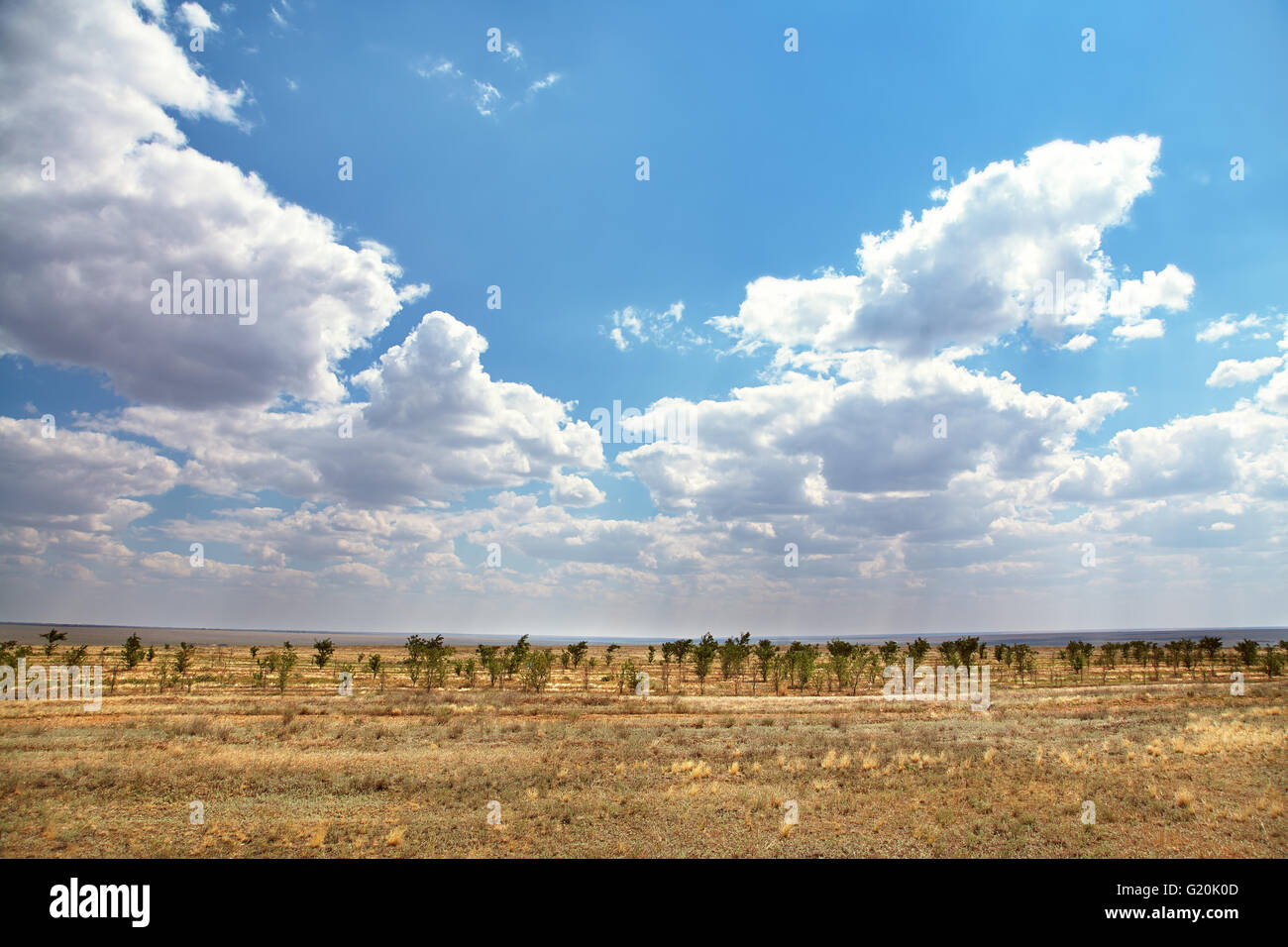 Scenic summer landscape Stock Photo - Alamy