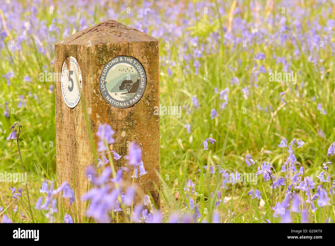 Loch lomond national park hi-res stock photography and images - Alamy