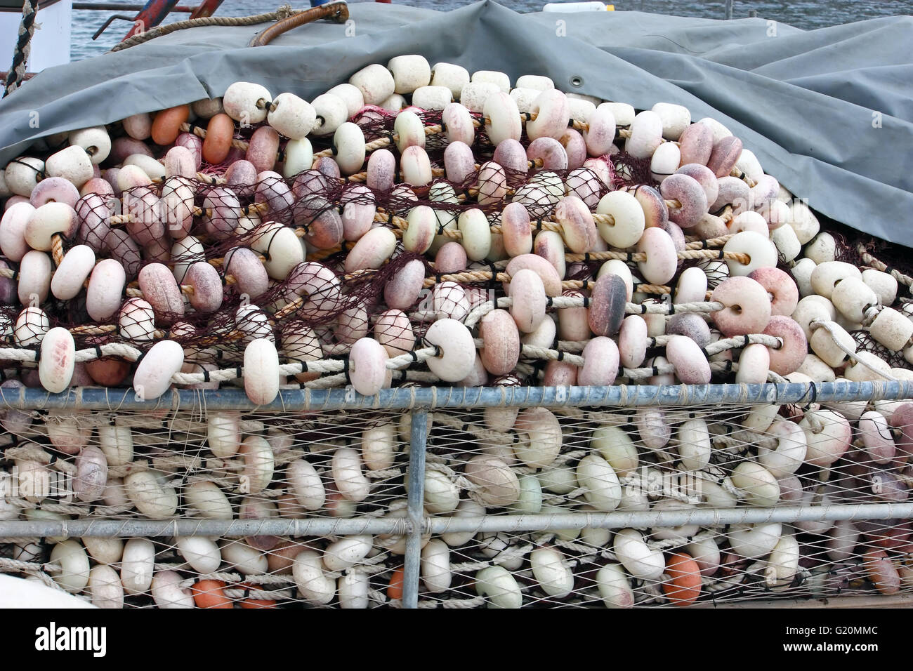 Net floater hi-res stock photography and images - Alamy