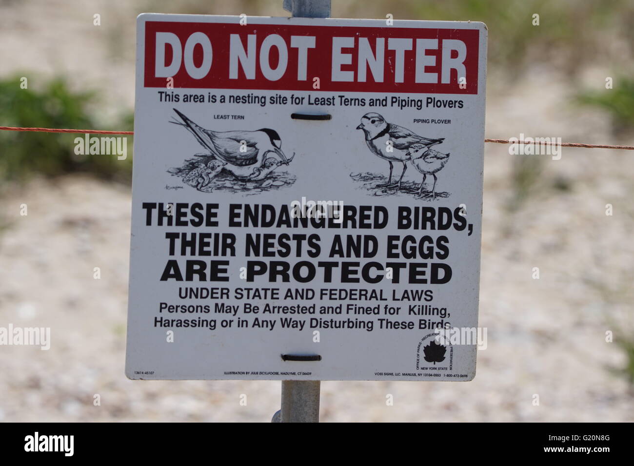 Birds nesting sign for shore birds Stock Photo - Alamy