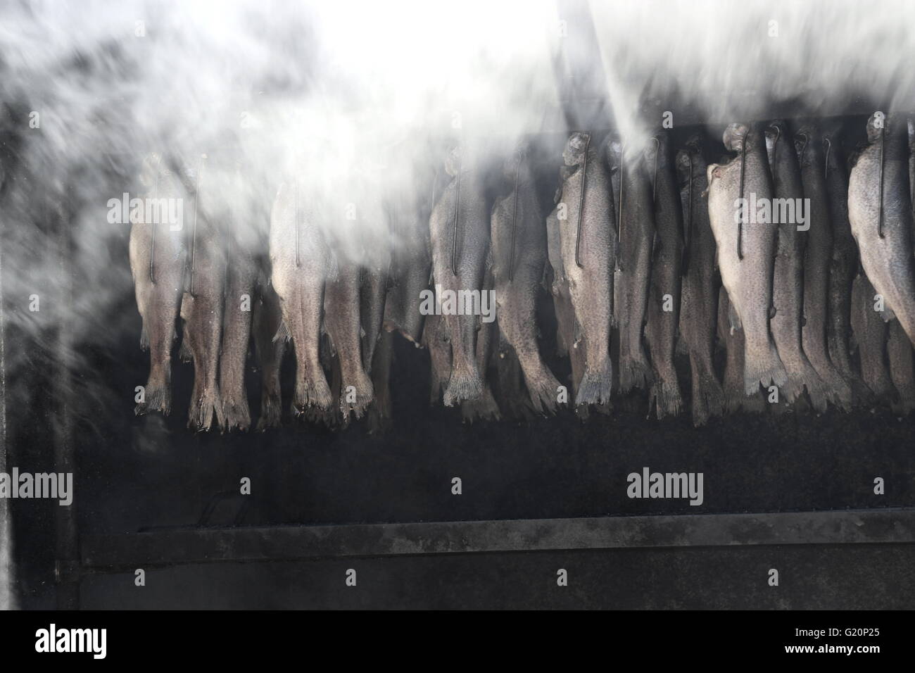 Fish being smoked in an outdoor metal cooker, farmers market, Germany ...