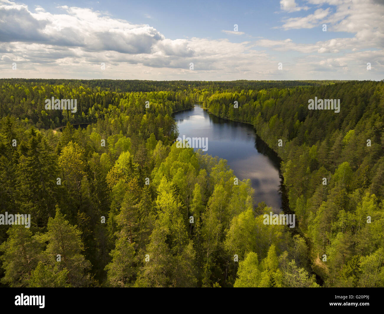 Nuuksio nature reserve, Espoo, Finland Stock Photo - Alamy