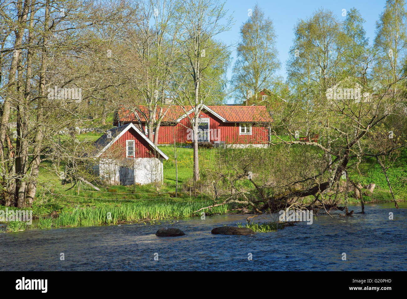 Old cottage at the river in the spring landscape Stock Photo - Alamy