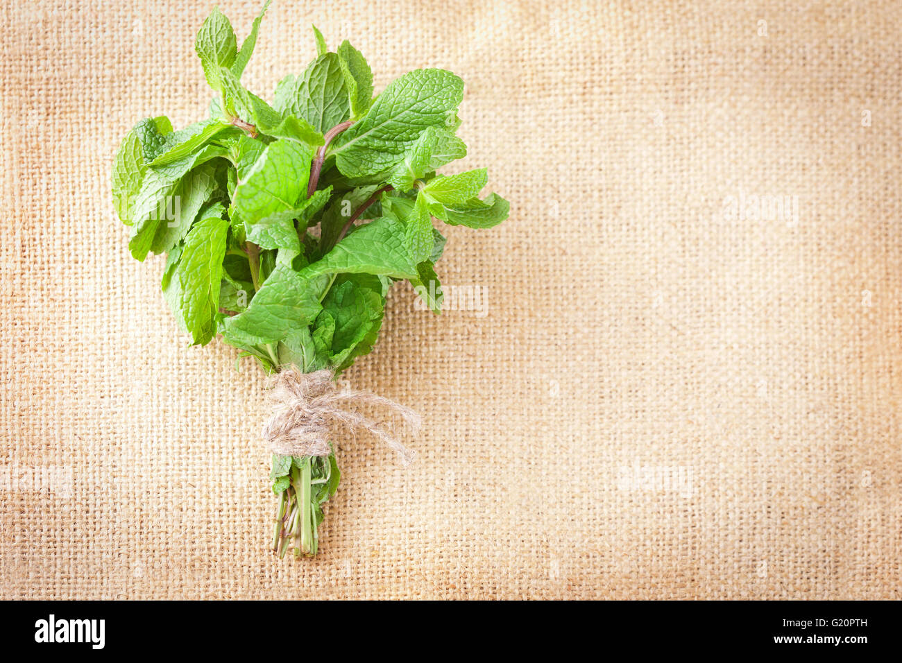 Fresh mint bunch on a burlap background Stock Photo - Alamy