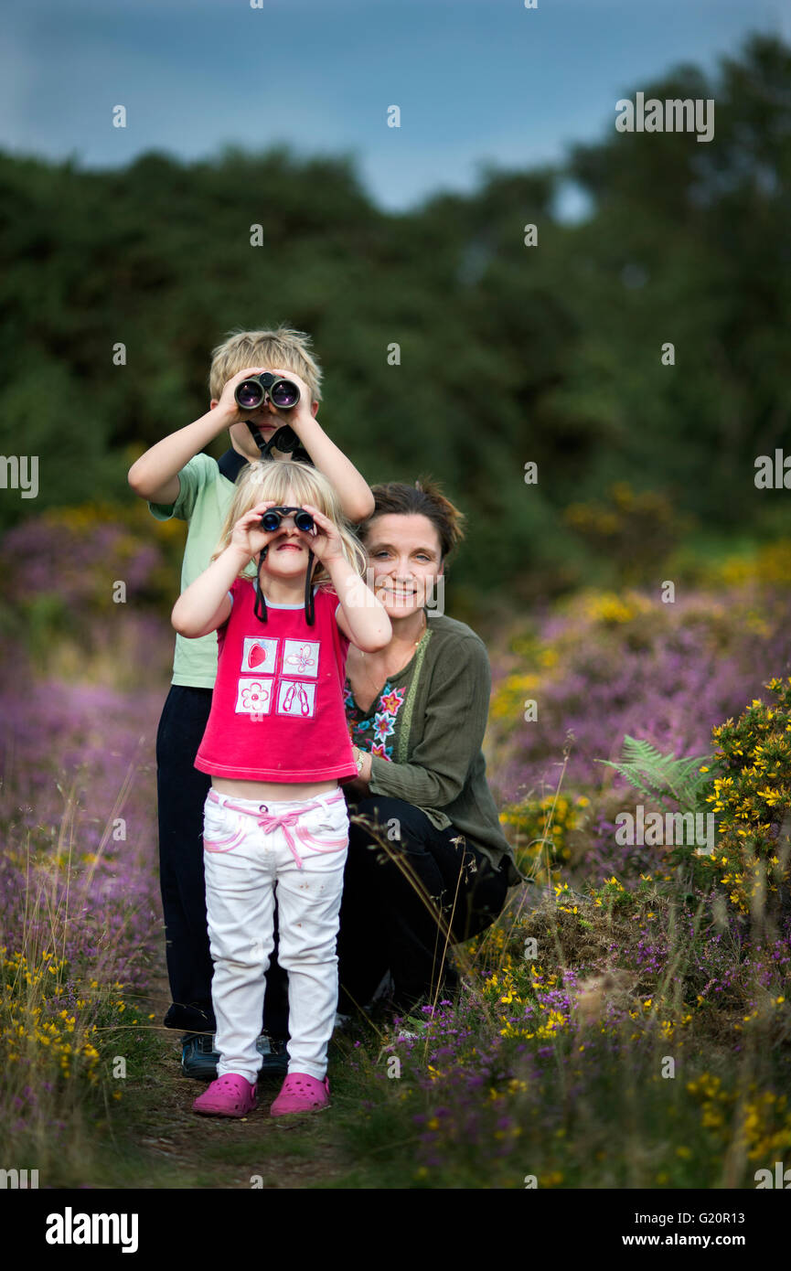 Family bird watching on heathland in summer Suffolk Sandlings Stock ...