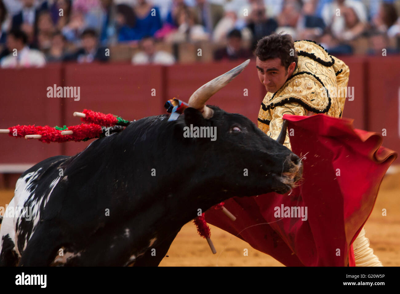 Bullfighter David Fandila "El Fandi" in action during a bullfight of ...
