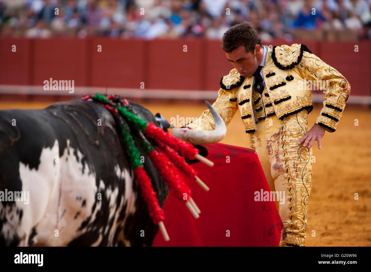 Bullfighter David Fandila "El Fandi" in action during a bullfight of ...