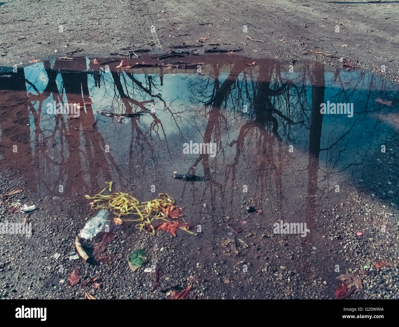 Puddle and reflection Stock Photo - Alamy