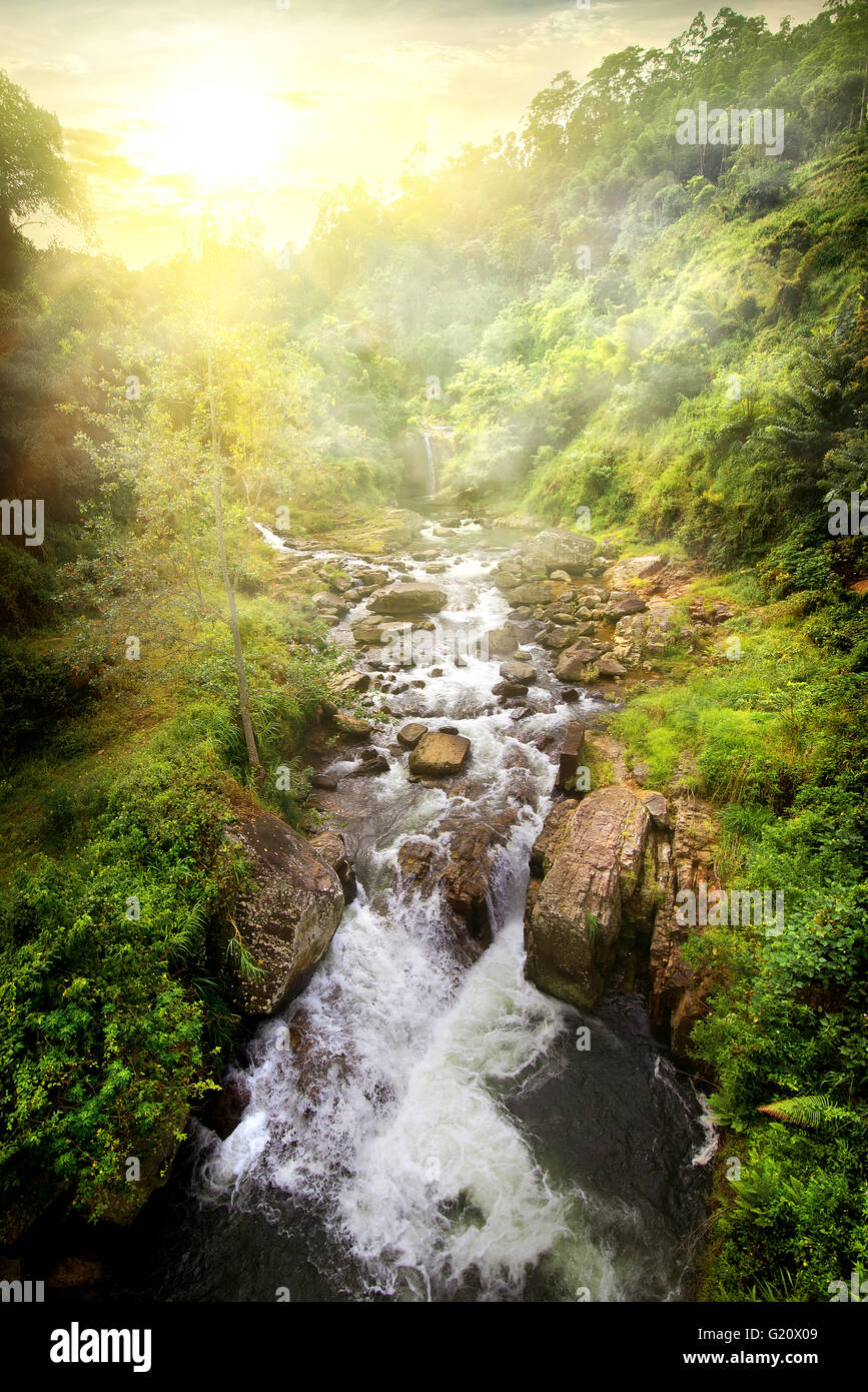 Fast tropical river at sunny sunrise, Sri Lanka Stock Photo - Alamy