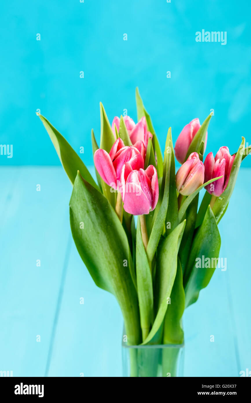 Wet Pink Tulip Flowers In Vase On Turquoise Table Stock Photo - Alamy