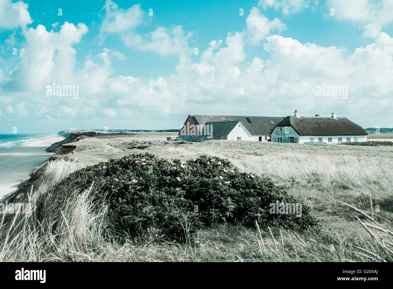 Denmark sea spring tree hi-res stock photography and images - Alamy