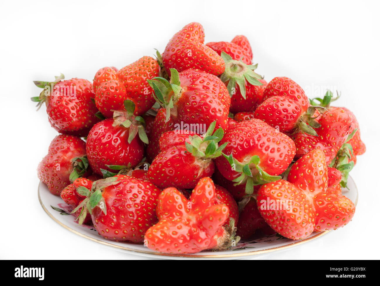 freshly harvested strawberries Stock Photo - Alamy