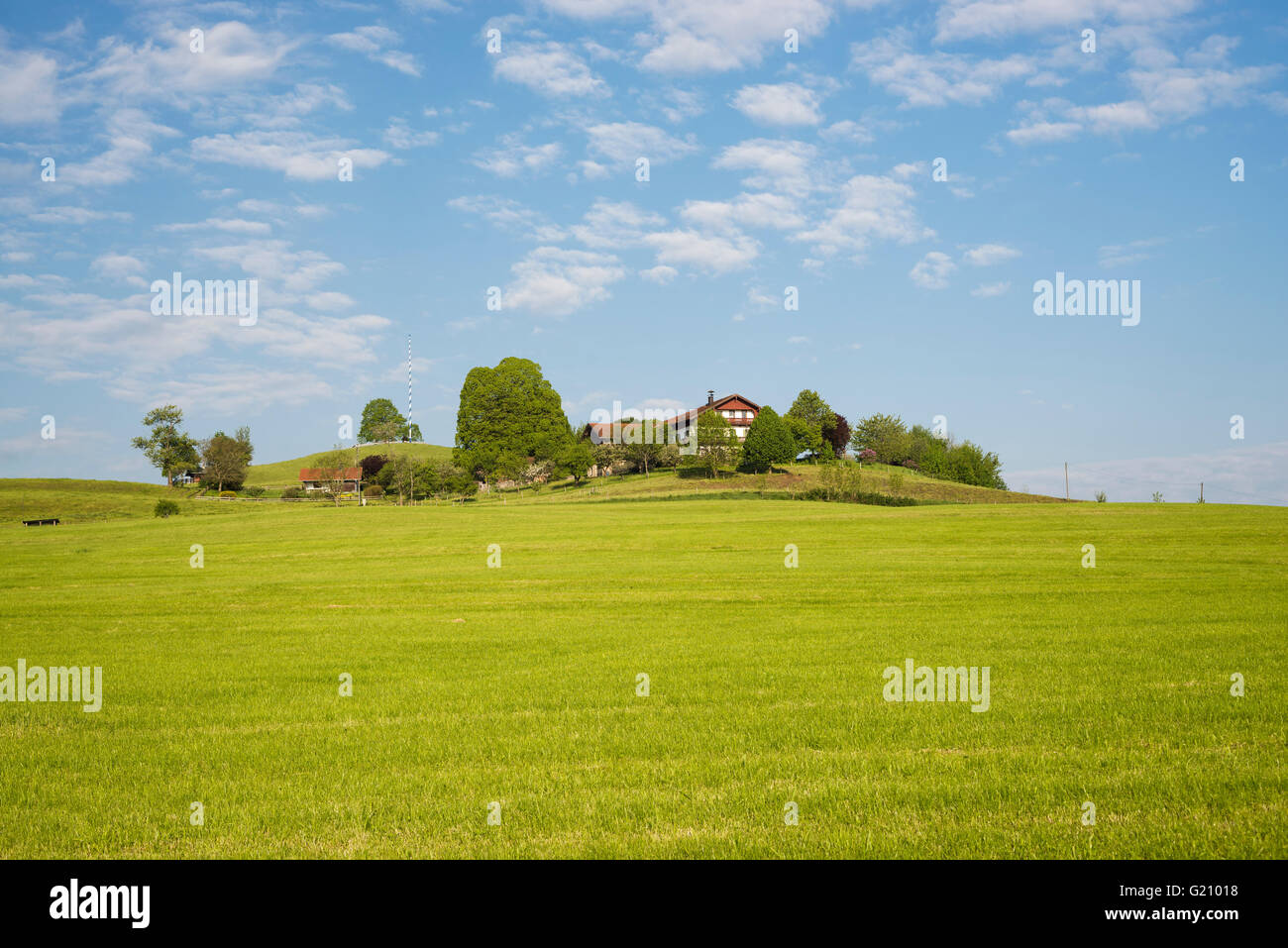 Farm houses on a hill in Upper Bavaria surrounded by blooming meadows ...