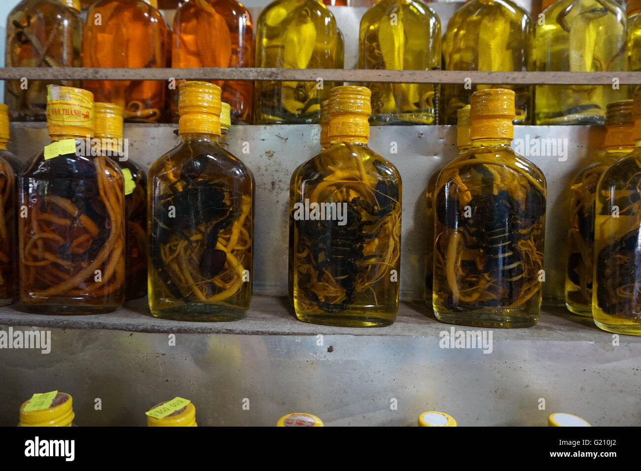Snake in bottle hi-res stock photography and images - Alamy