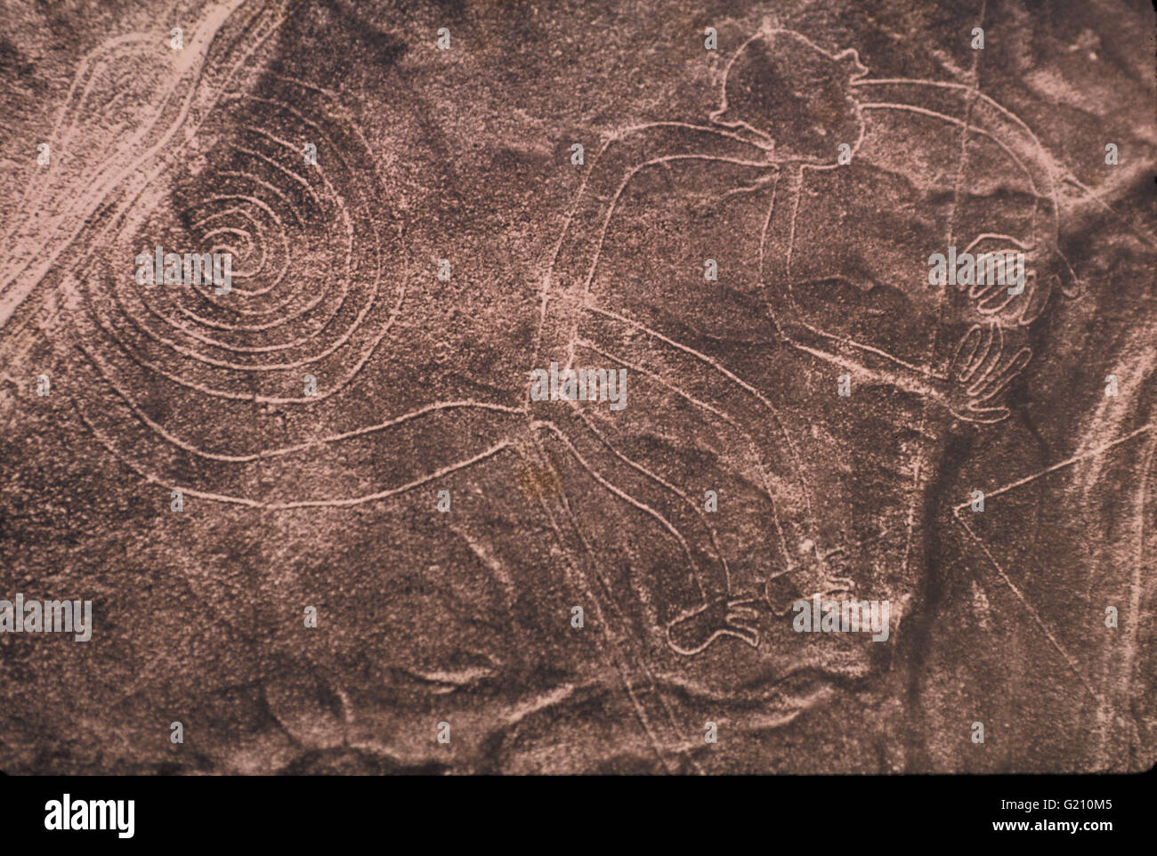 Nazca spiral hi-res stock photography and images - Alamy