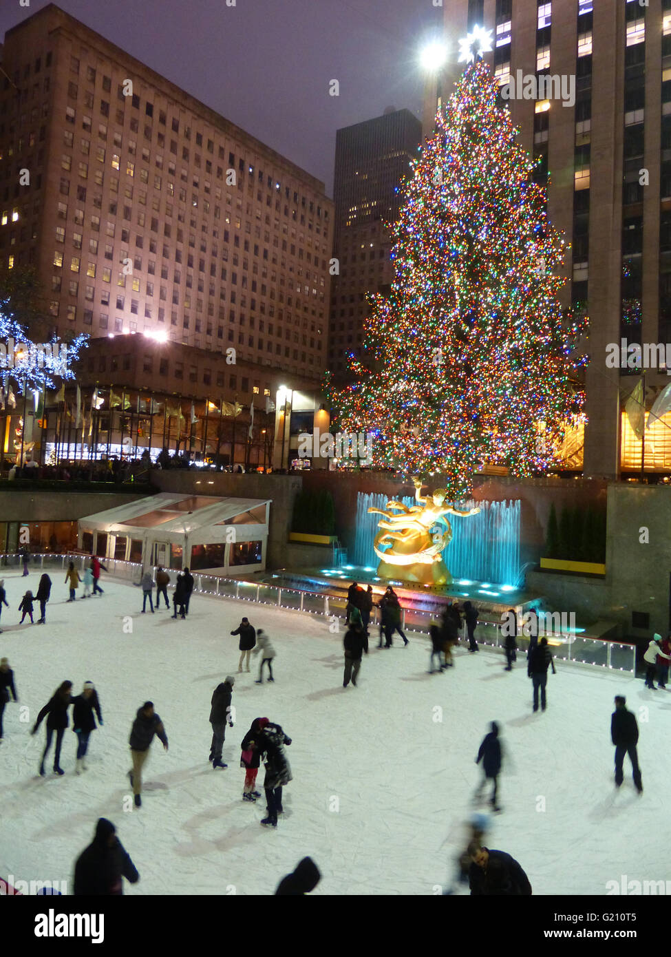 Family tree center hi-res stock photography and images - Alamy