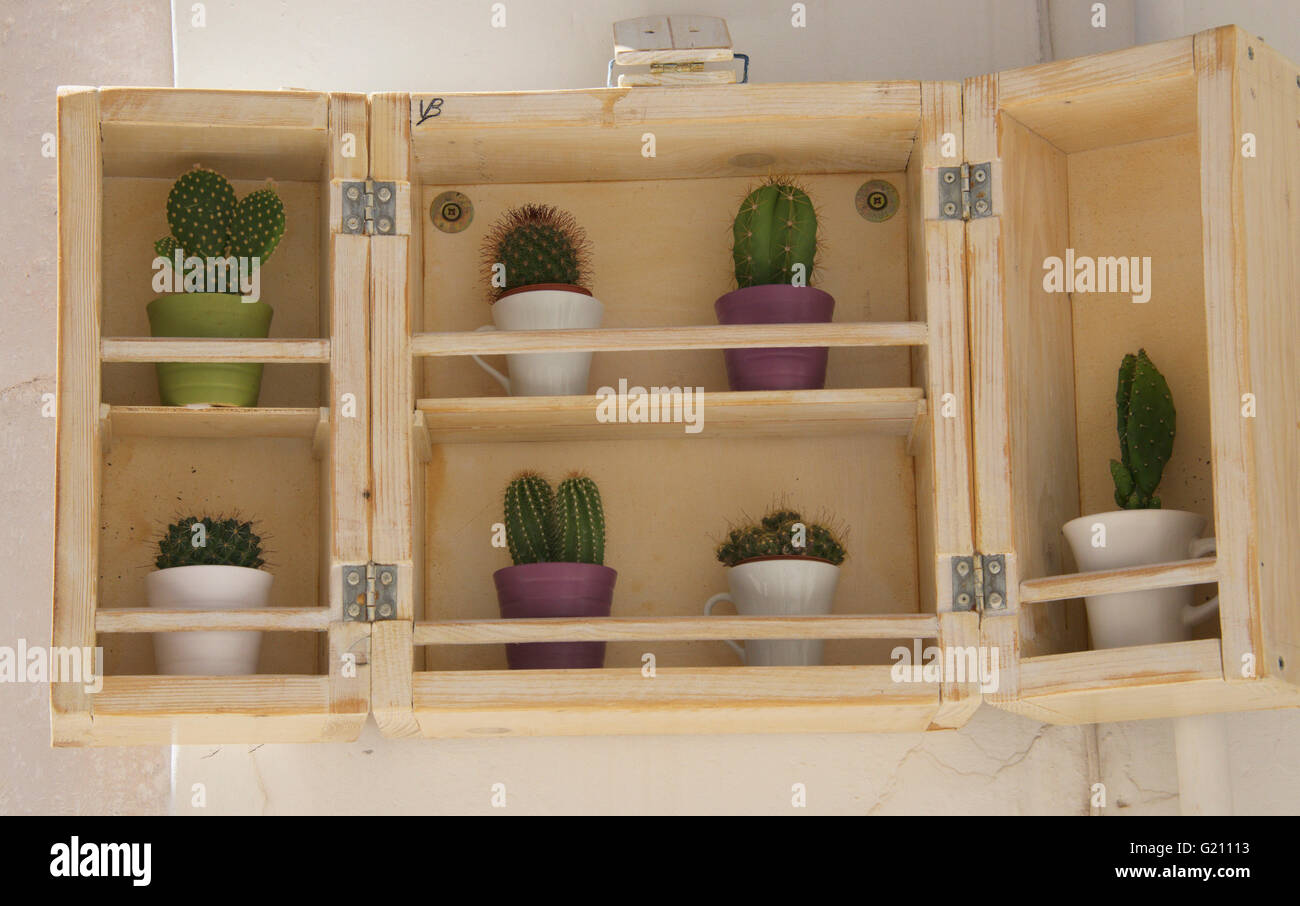 Cacti display hi-res stock photography and images - Alamy