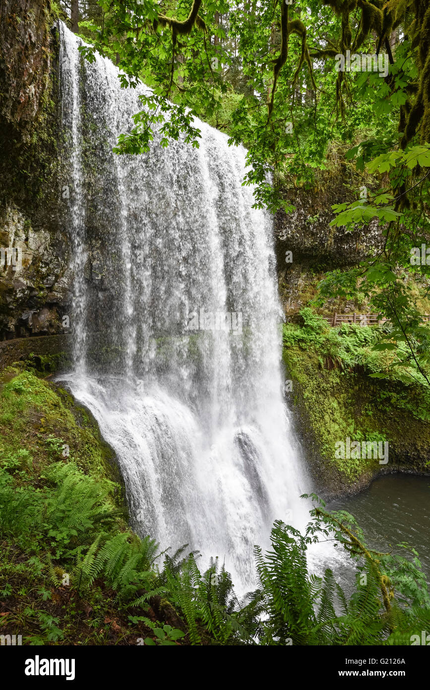 Lower South Falls, Silver Falls State Park, Oregon Stock Photo - Alamy