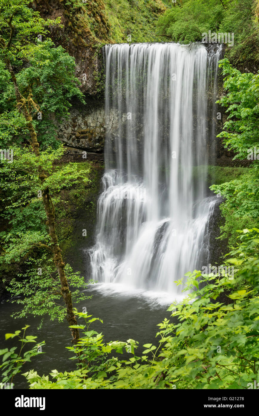 Lower South Falls, Silver Falls State Park, Oregon Stock Photo - Alamy
