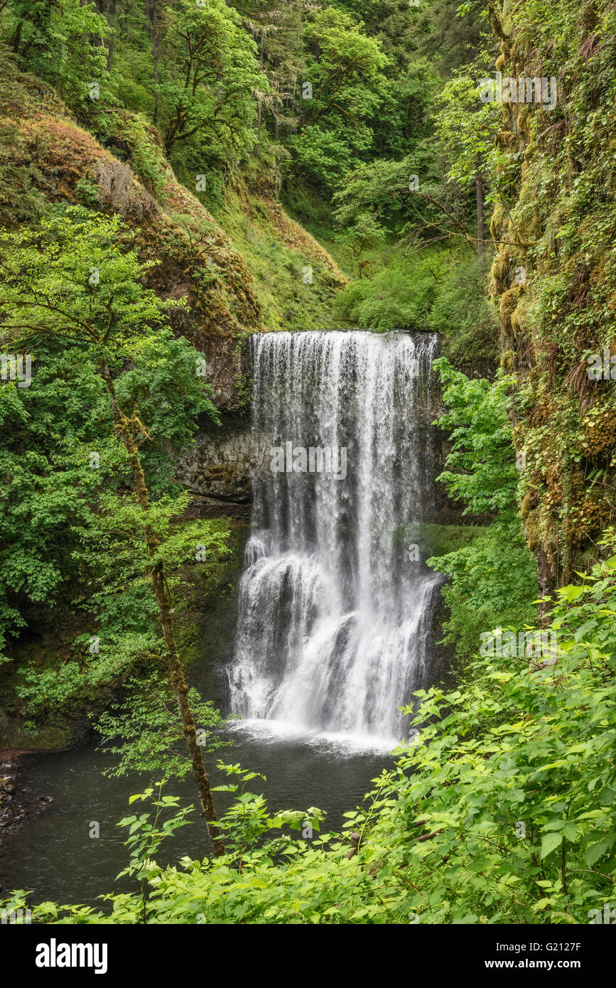 Lower South Falls, Silver Falls State Park, Oregon Stock Photo - Alamy