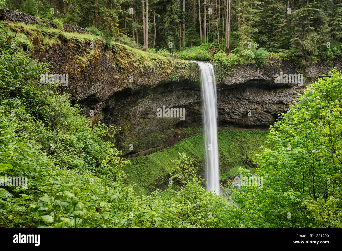 South Falls, with visitors at top of the waterfall; Silver Falls State ...