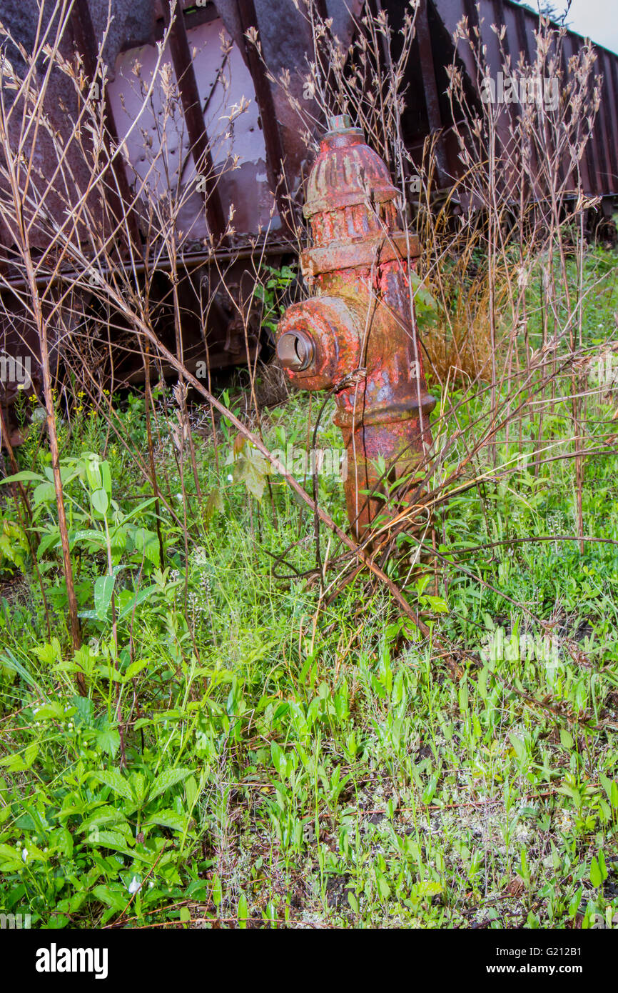 Rusting vintage fire hydrant and coal cars on overgrown tracks Stock ...