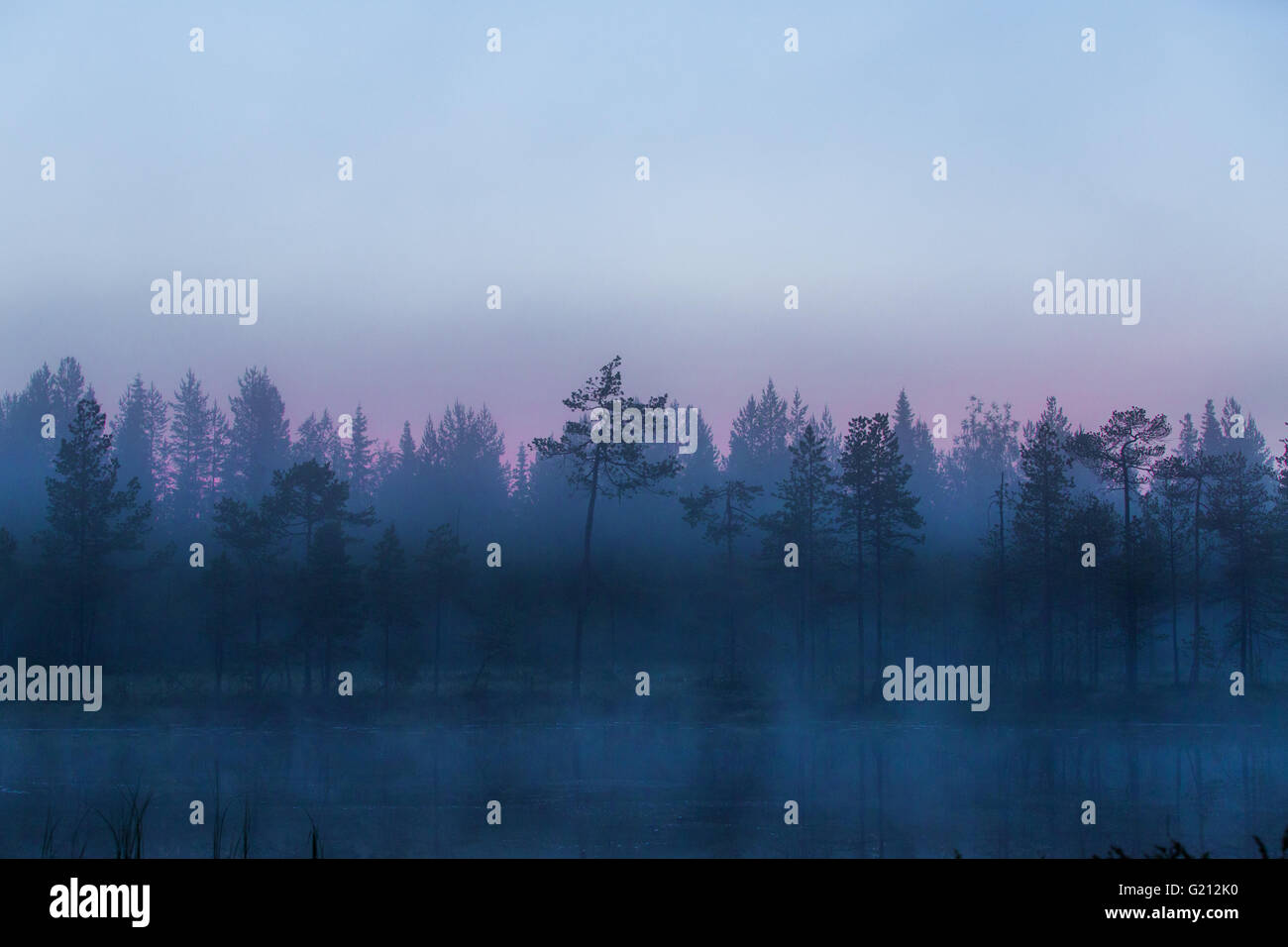 Scary lake night hi-res stock photography and images - Alamy