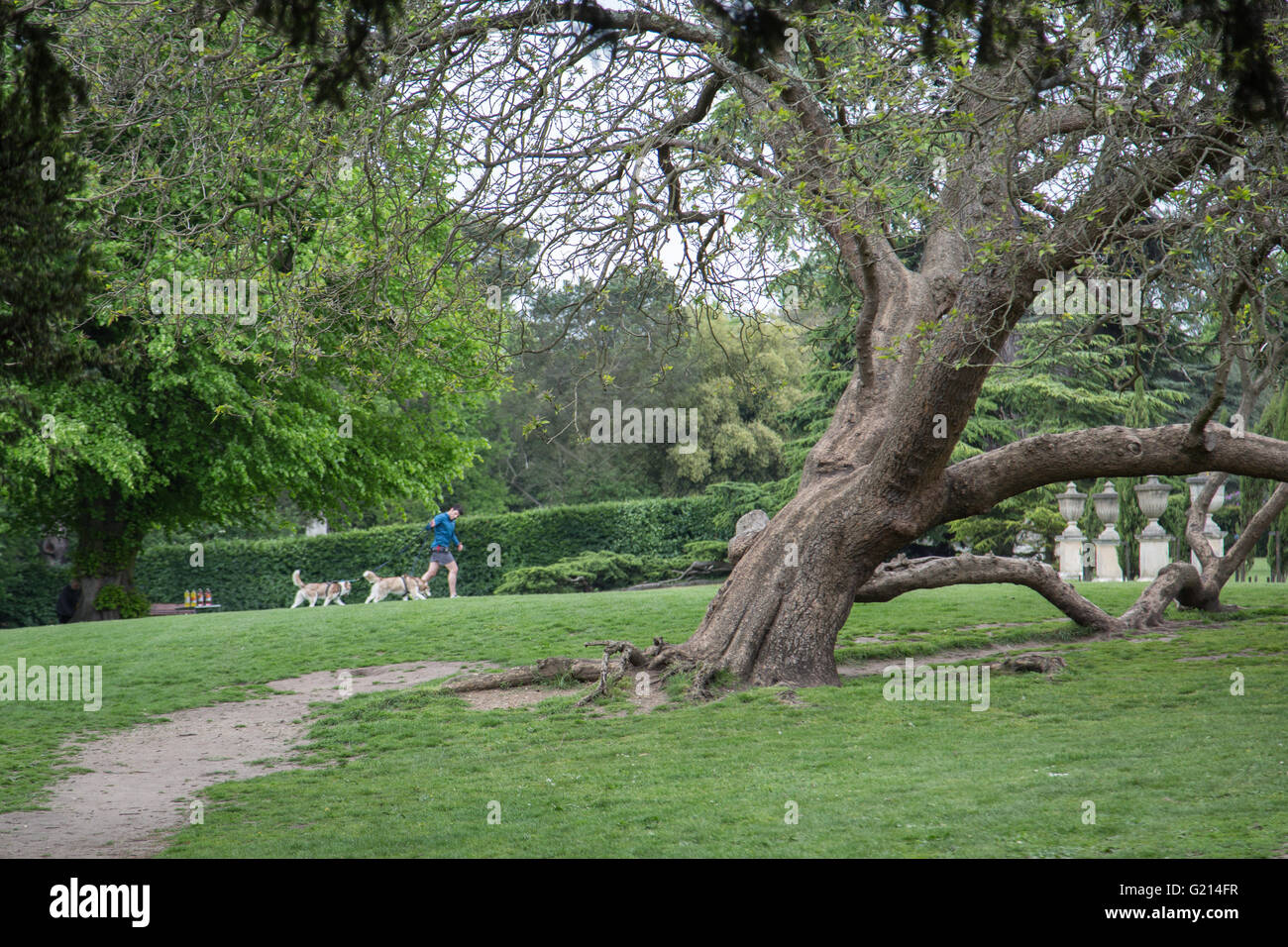London, UK. 21st May, 2016. Then and now shots of the grounds of ...