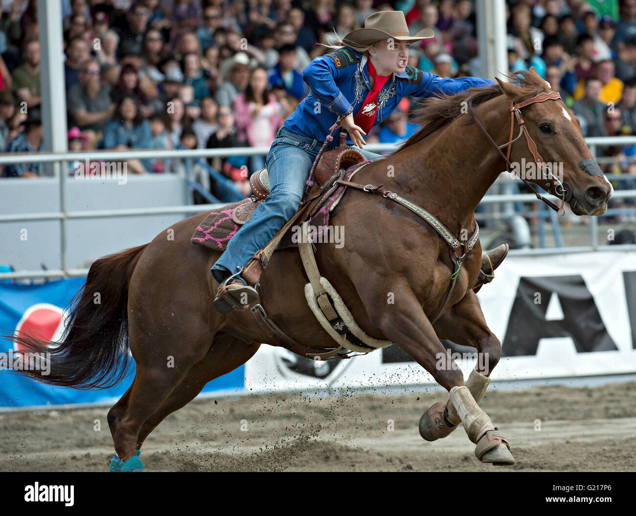 Surrey, Canada. 21st May, 2016. A cowgirl competes in the ladies ...