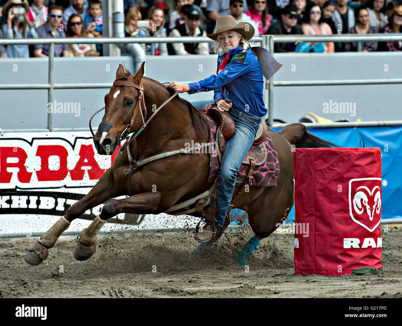 Surrey, Canada. 21st May, 2016. A cowgirl competes in the ladies ...
