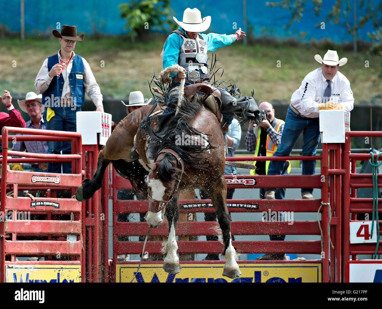 Surrey, Canada. 21st May, 2016. A cowboy performs during the Cloverdale ...