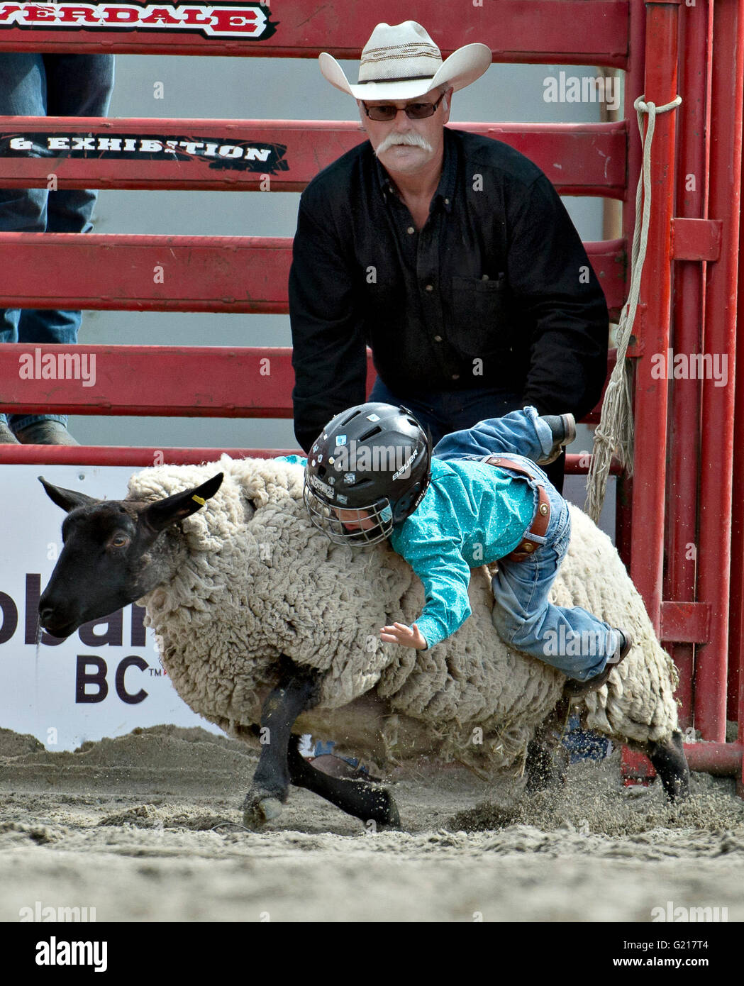 Mutton busting hi-res stock photography and images - Alamy