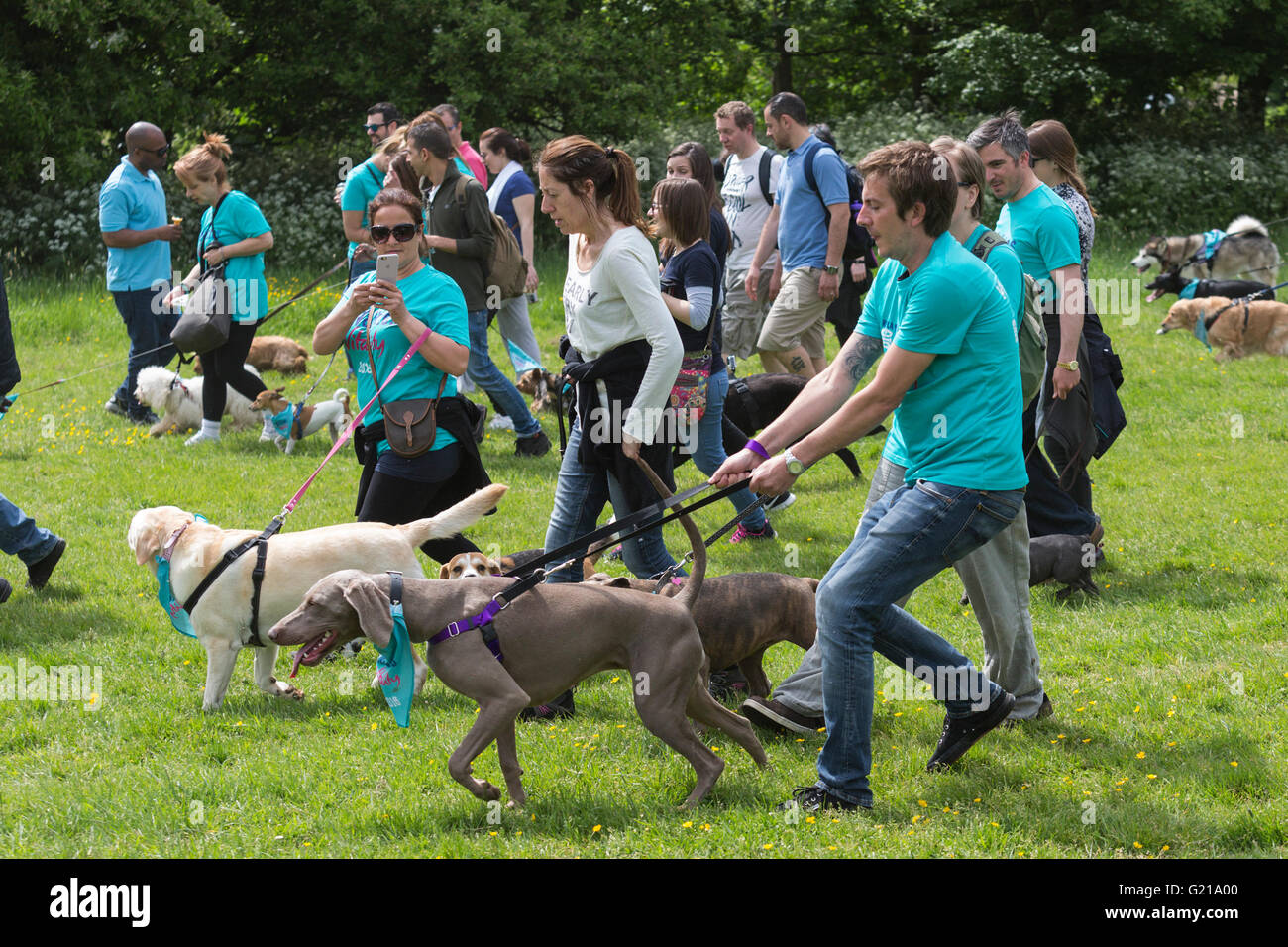 London, UK. 22 May 2016. Hundreds of dogs and their owners gathered in ...