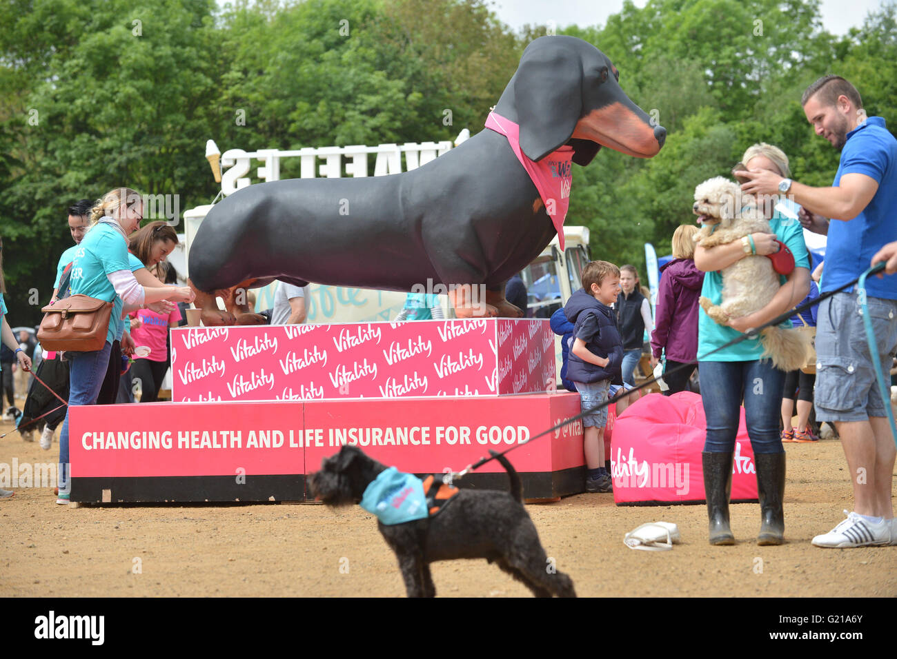 Alexandra Palace, London, UK. 22nd May 2016. The RSPCA Big Walkies ...