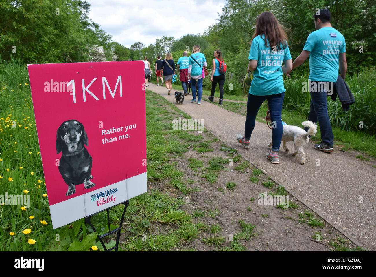Rspca dog walking hi-res stock photography and images - Alamy
