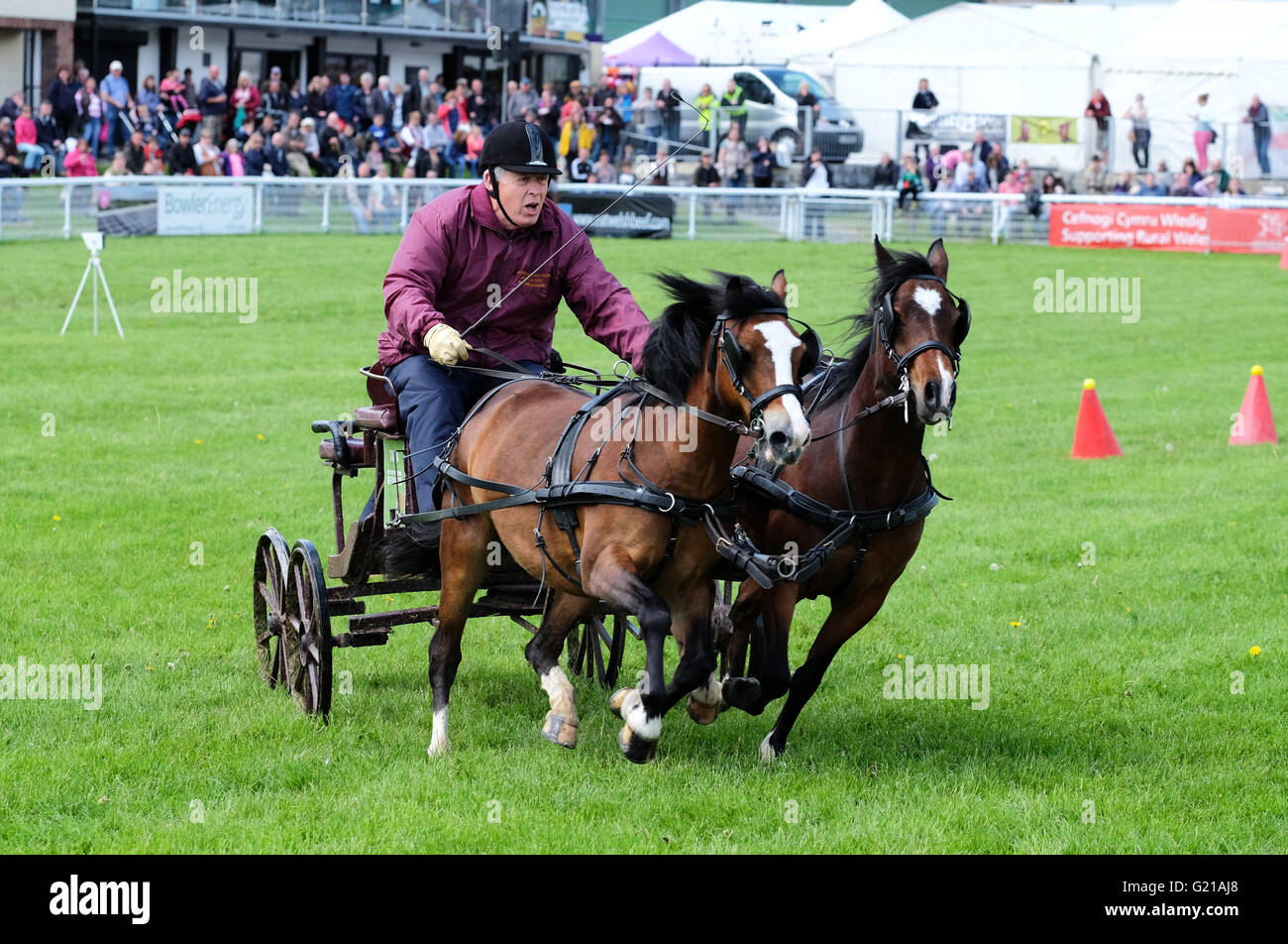 Welsh archer hi-res stock photography and images - Alamy