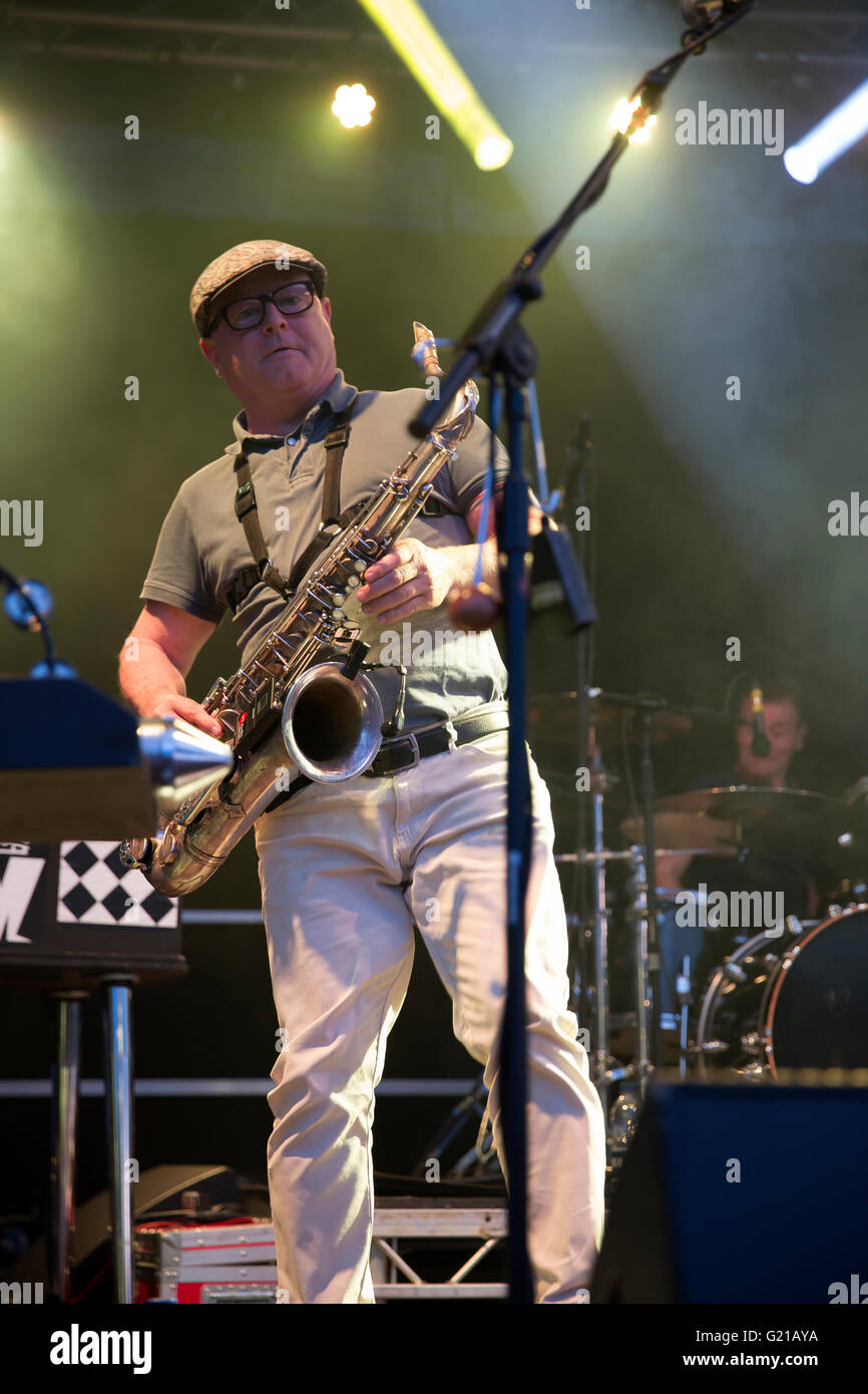 Madness bass player hi-res stock photography and images - Alamy