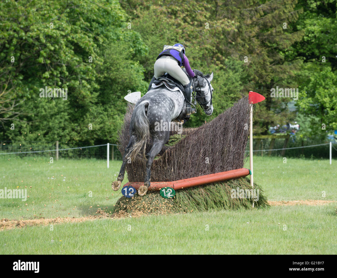 Rocket horse hi-res stock photography and images - Alamy