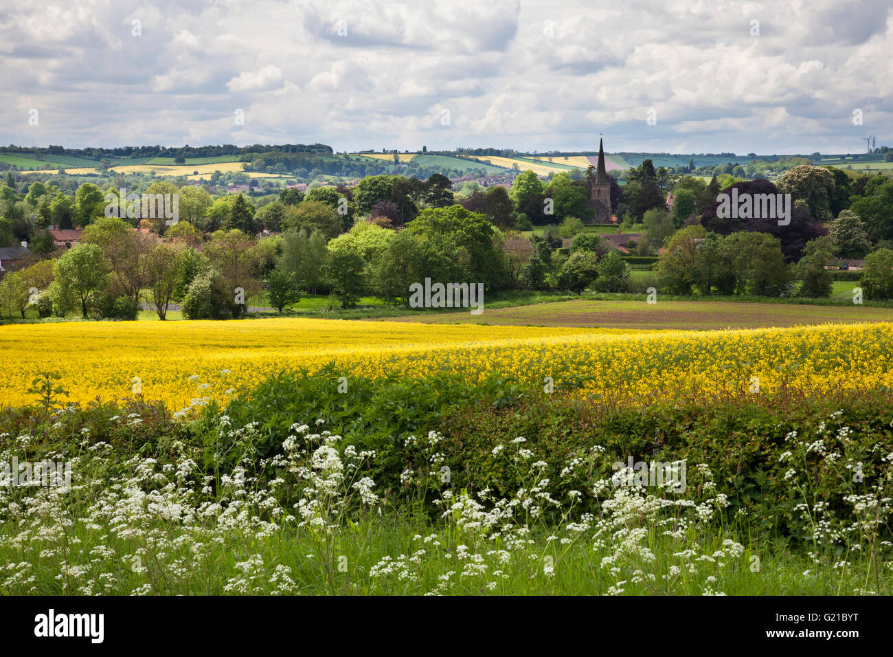 Nottinghamshire nature hi-res stock photography and images - Alamy