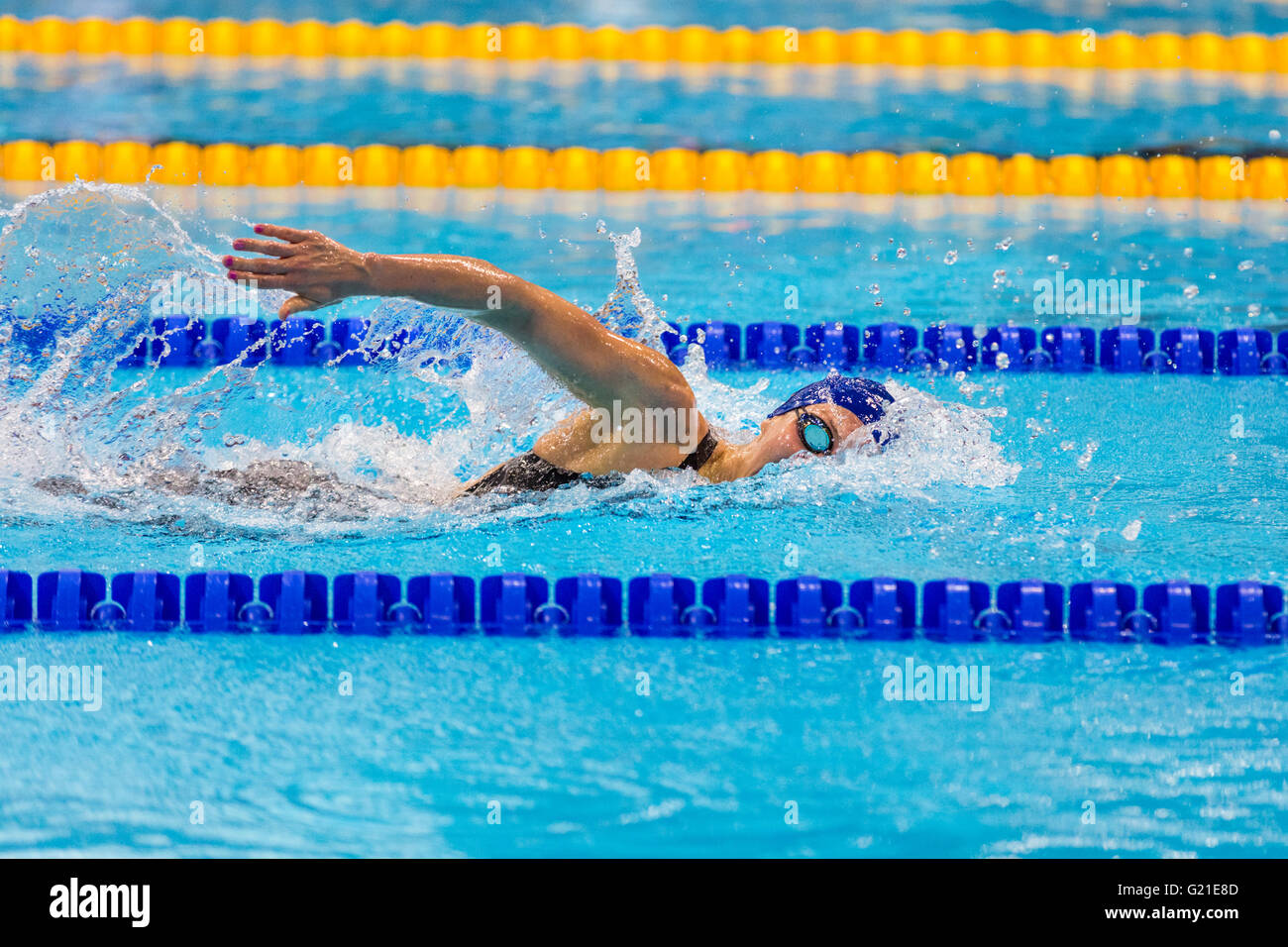 Aquatics Centre, London, UK, 22nd May 2016. European Swimming ...