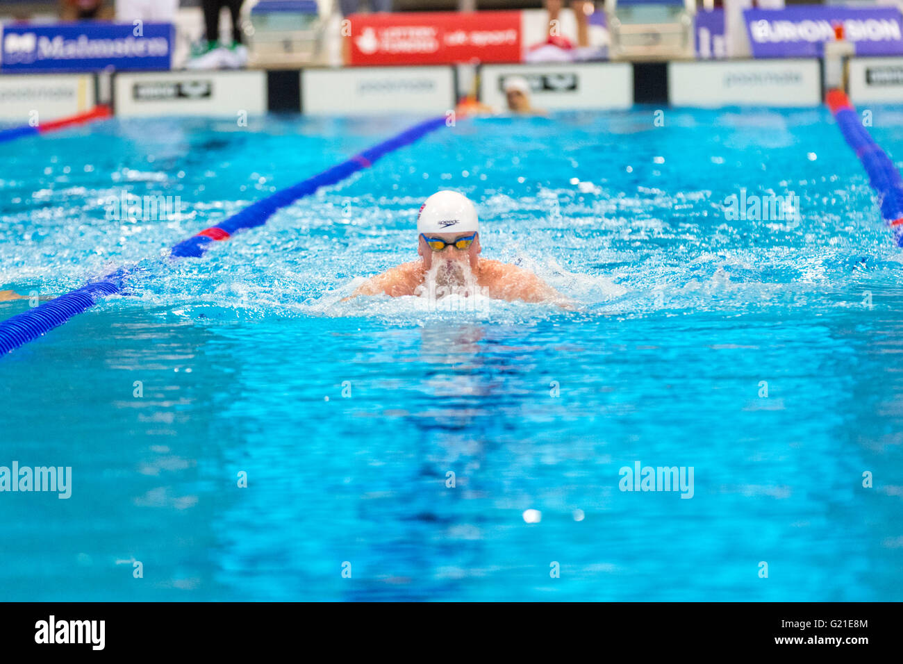 Aquatics Centre, London, UK, 22nd May 2016. European Swimming ...