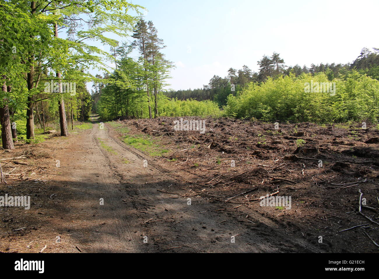 Ministry of forestry and environment hi-res stock photography and ...