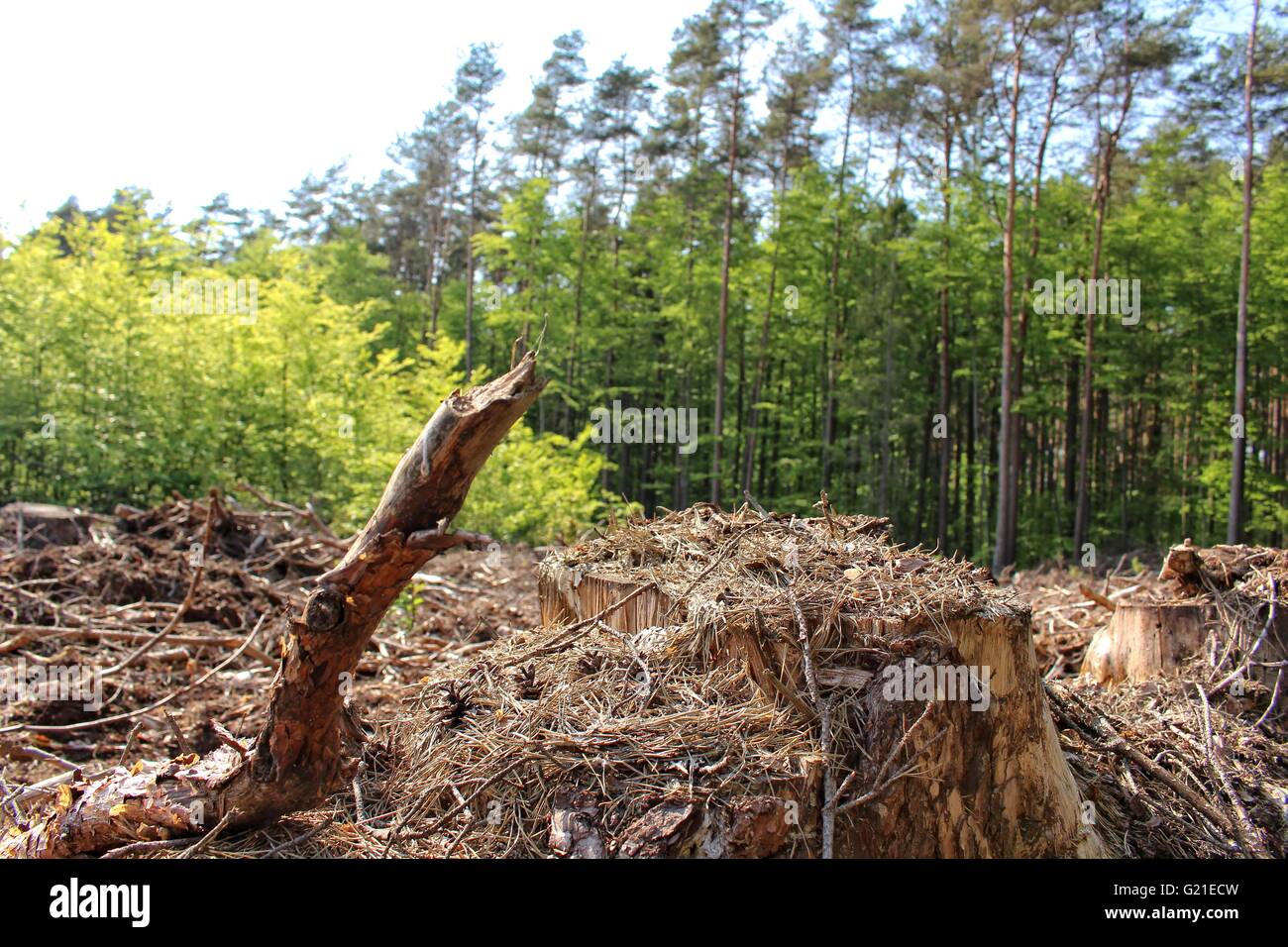 Sulmin, Poland. 22nd May, 2016. Polish Ministry of the Environment ...