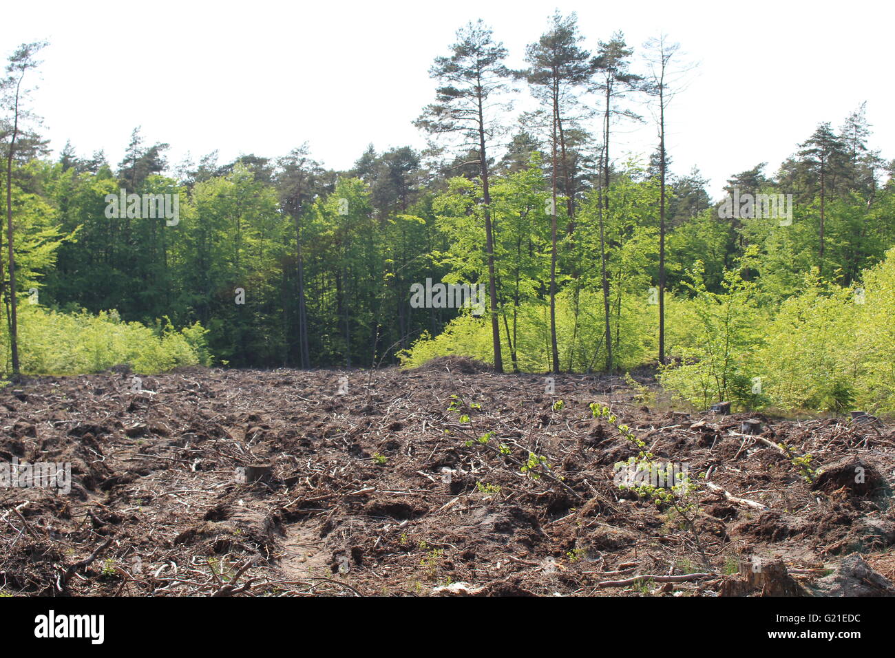 Sulmin, Poland. 22nd May, 2016. Polish Ministry of the Environment ...