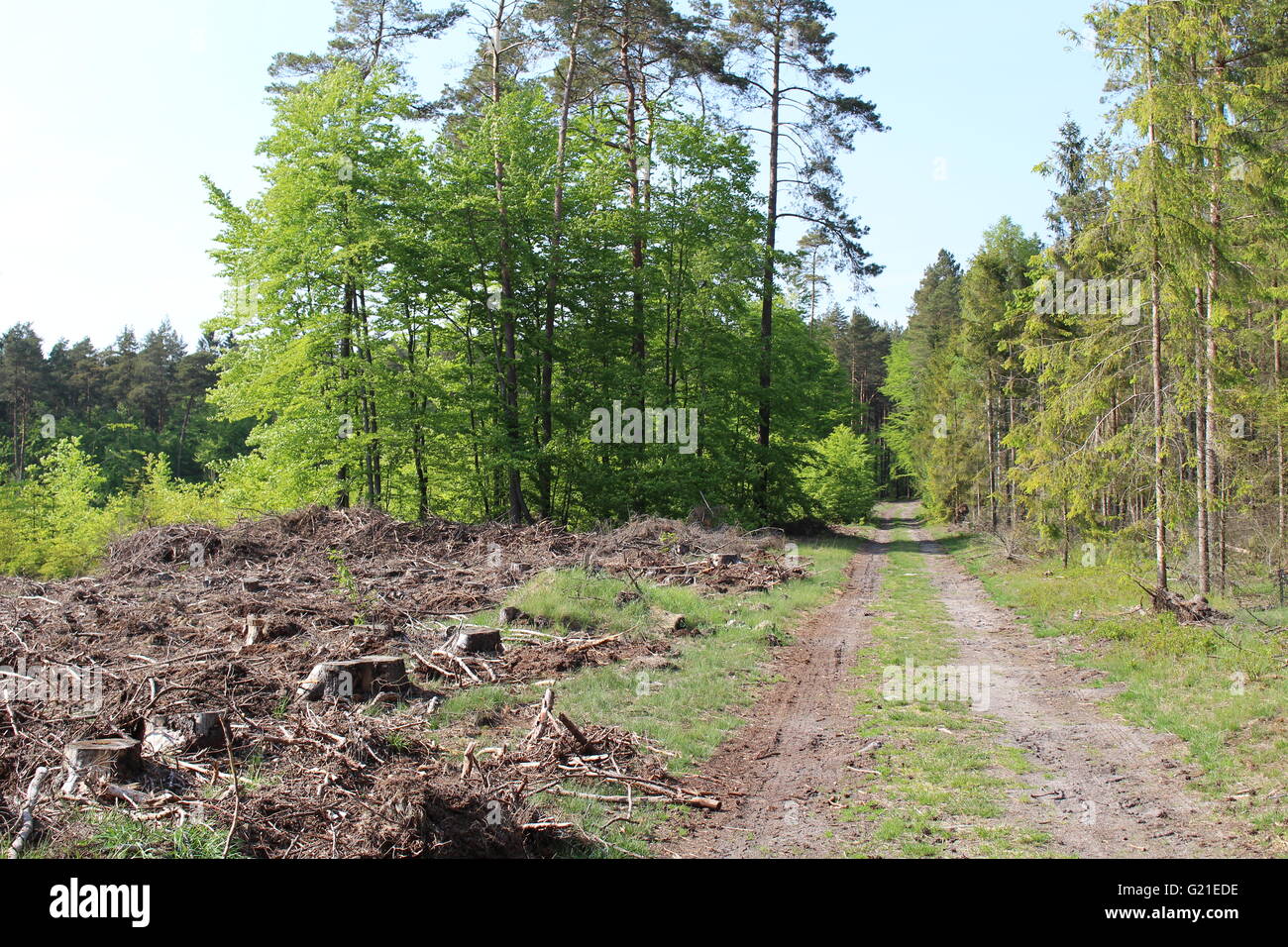 Sulmin, Poland. 22nd May, 2016. Polish Ministry of the Environment ...