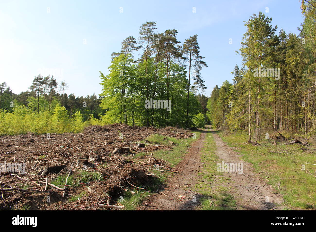 Sulmin, Poland. 22nd May, 2016. Polish Ministry of the Environment ...