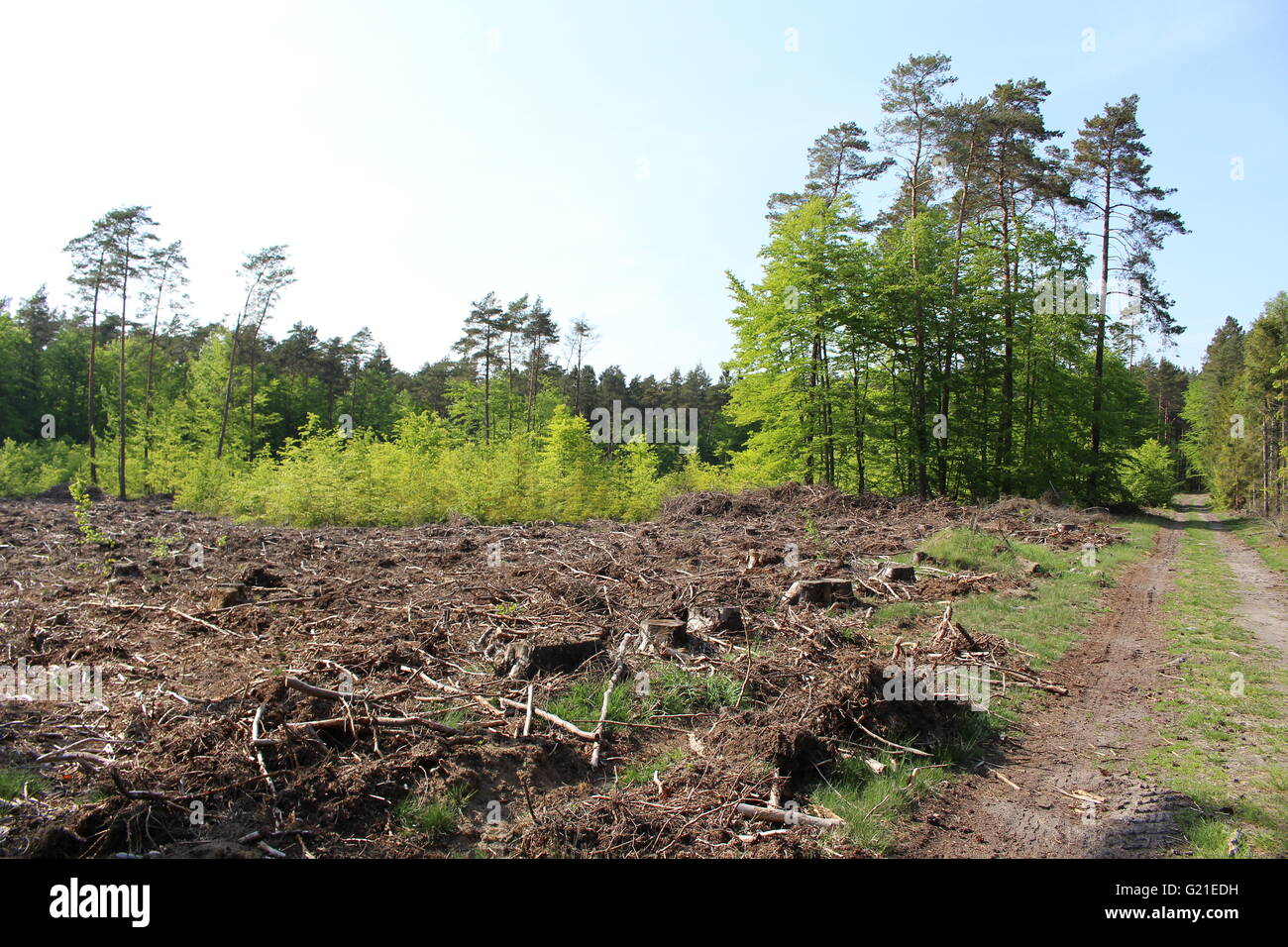 Sulmin, Poland. 22nd May, 2016. Polish Ministry of the Environment ...